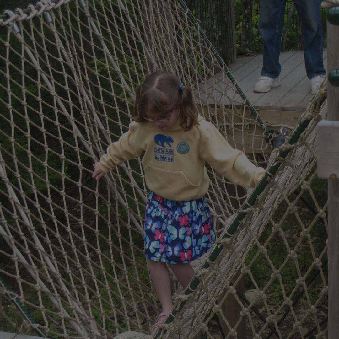 Home - InCord Custom Safety Netting