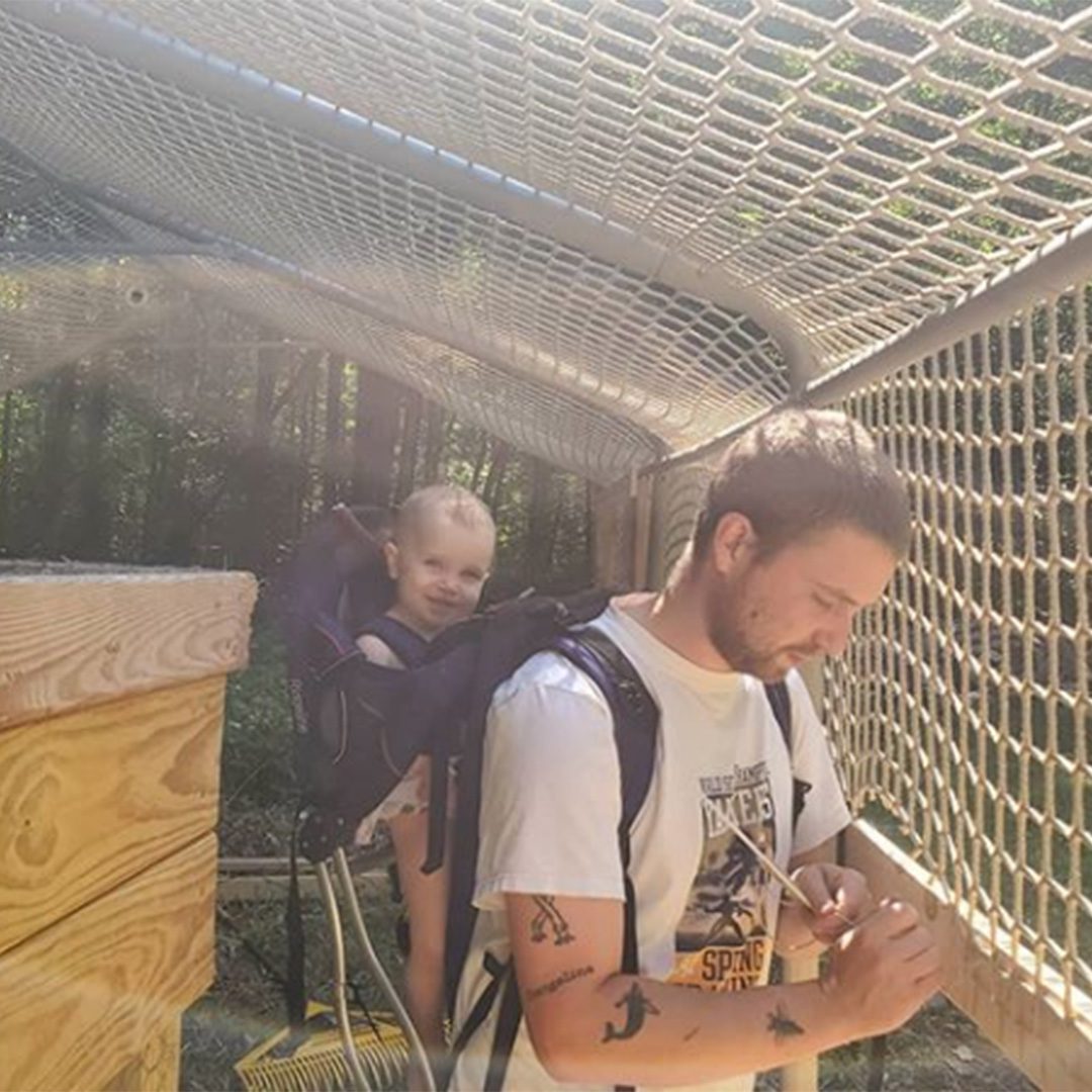 Home Netting | Garden Netting