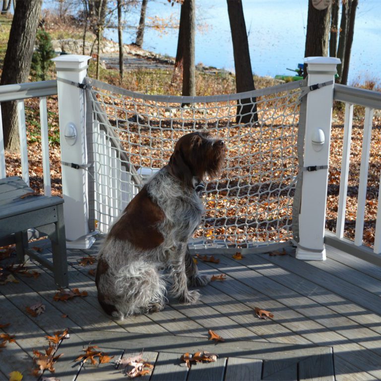 Home Netting | Garden Netting