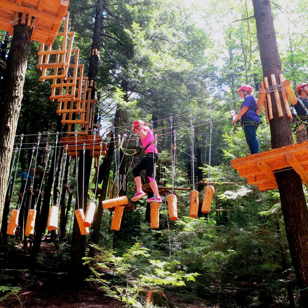 Sports Netting | Indoor & Outdoor Netting